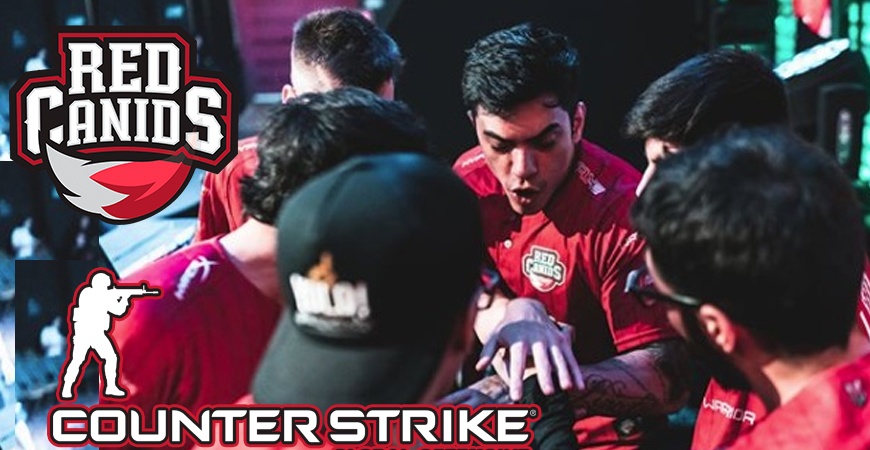 RED Canids Kalunga na Final do Brasilerão de CS:GO ⋆ Nós Nerds